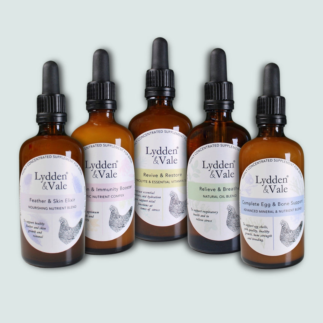 Lydden & Vale Supplements for Birds: Chickens, Pigeons & Poultry