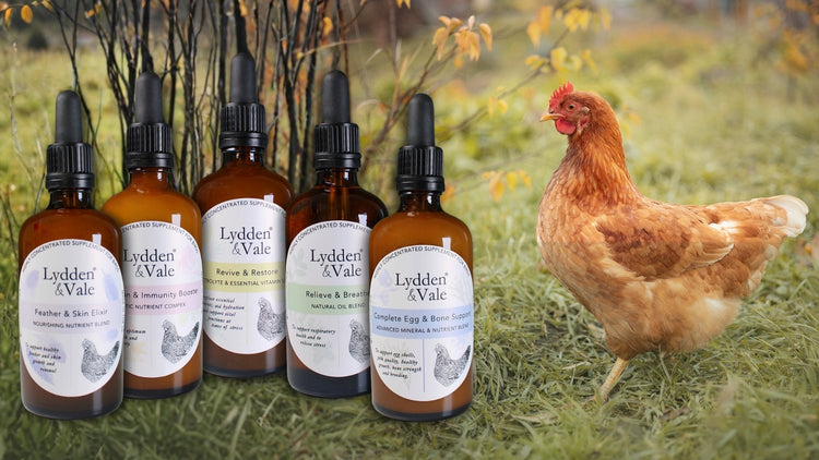 Lydden & Vale Supplements for Birds: Chickens, Pigeons & Poultry